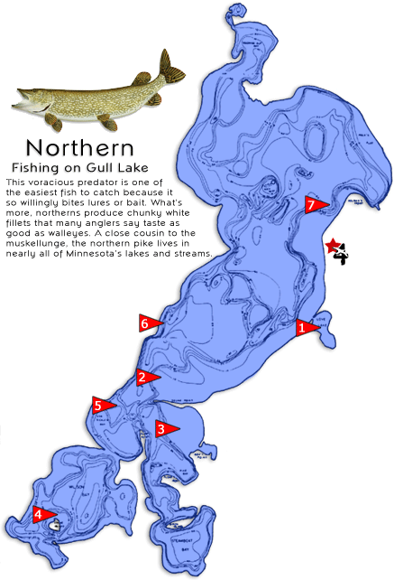 MN Fishing Resort - Northern Pike Fishing - Northern Pike Fishing Map ...